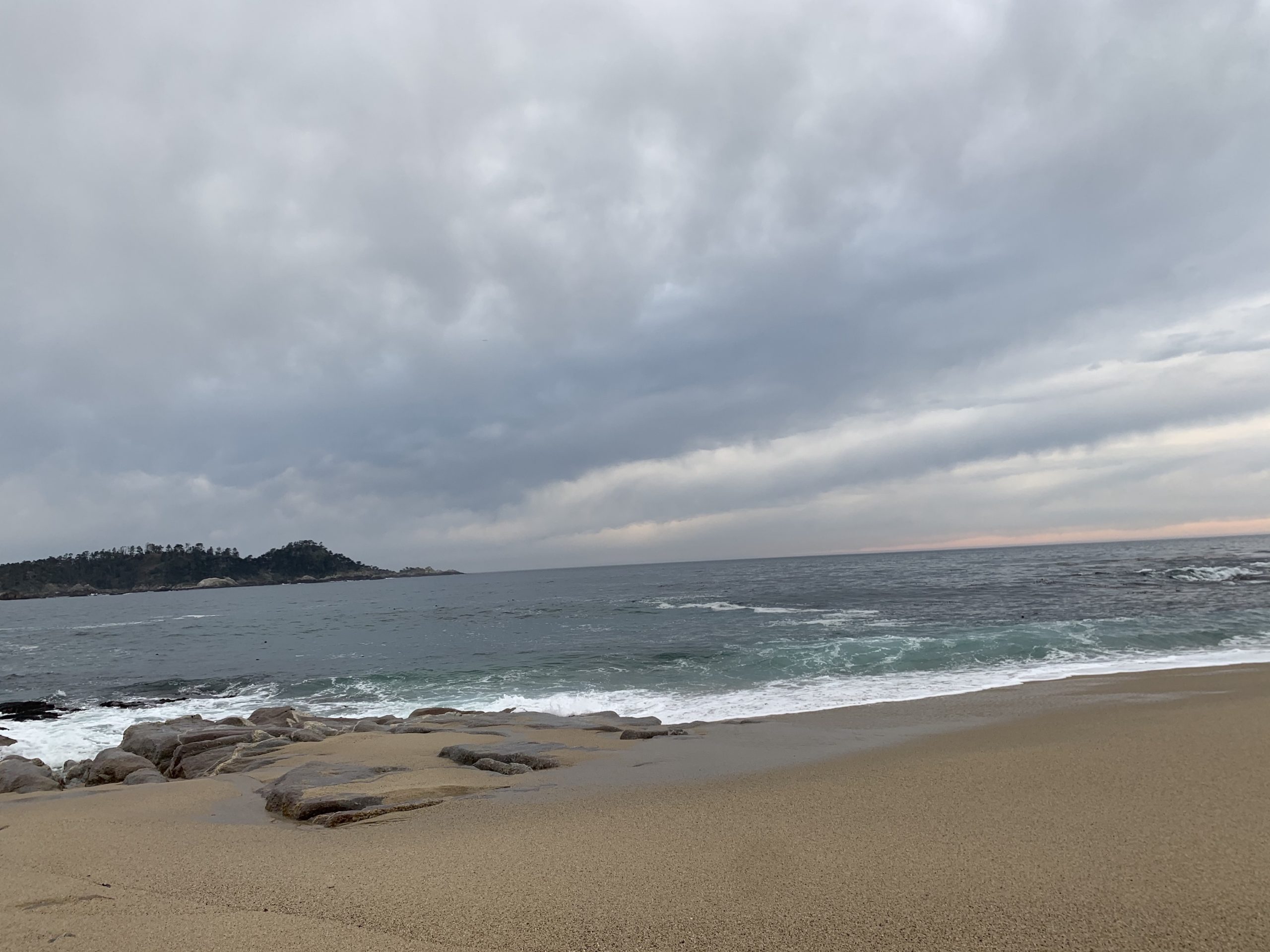 A Winter Day in Monterey – Sherman&Me